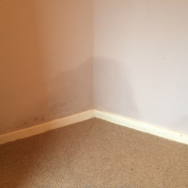 Damp versus condensation - Ewan White : Building Defects Consultant ...